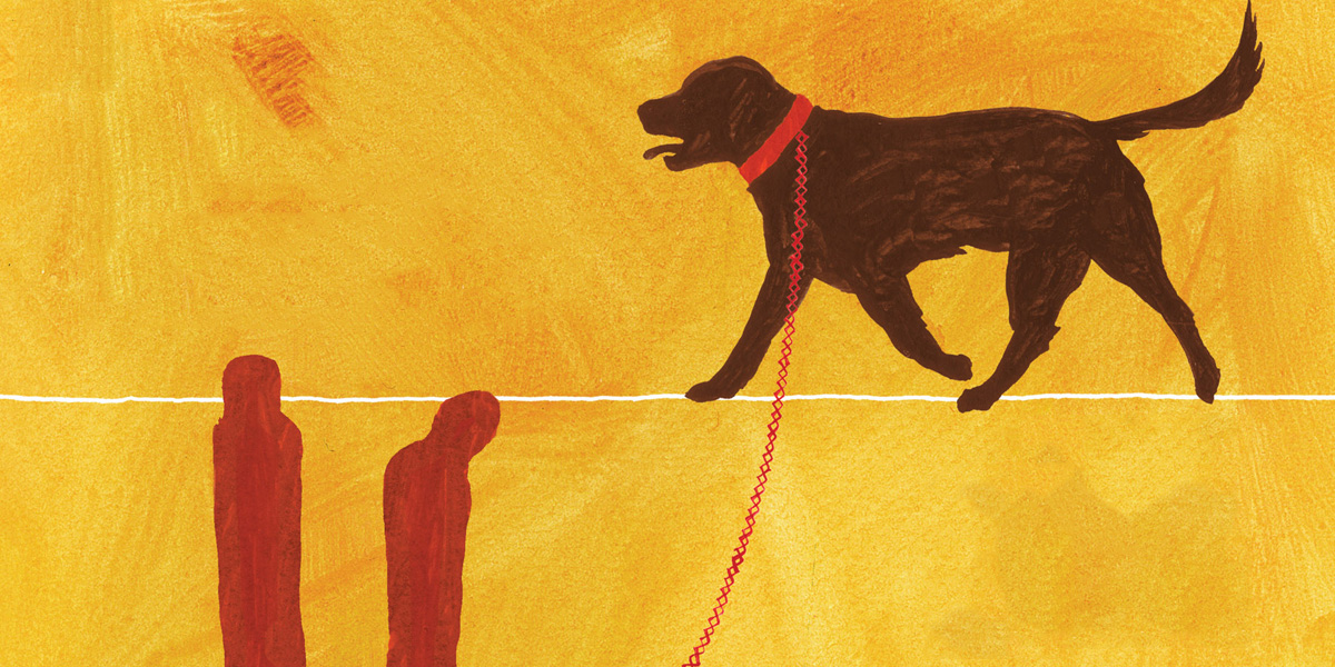 Mark Lamprell’s The Full Ridiculous - InReview | InDaily, Inside South ...